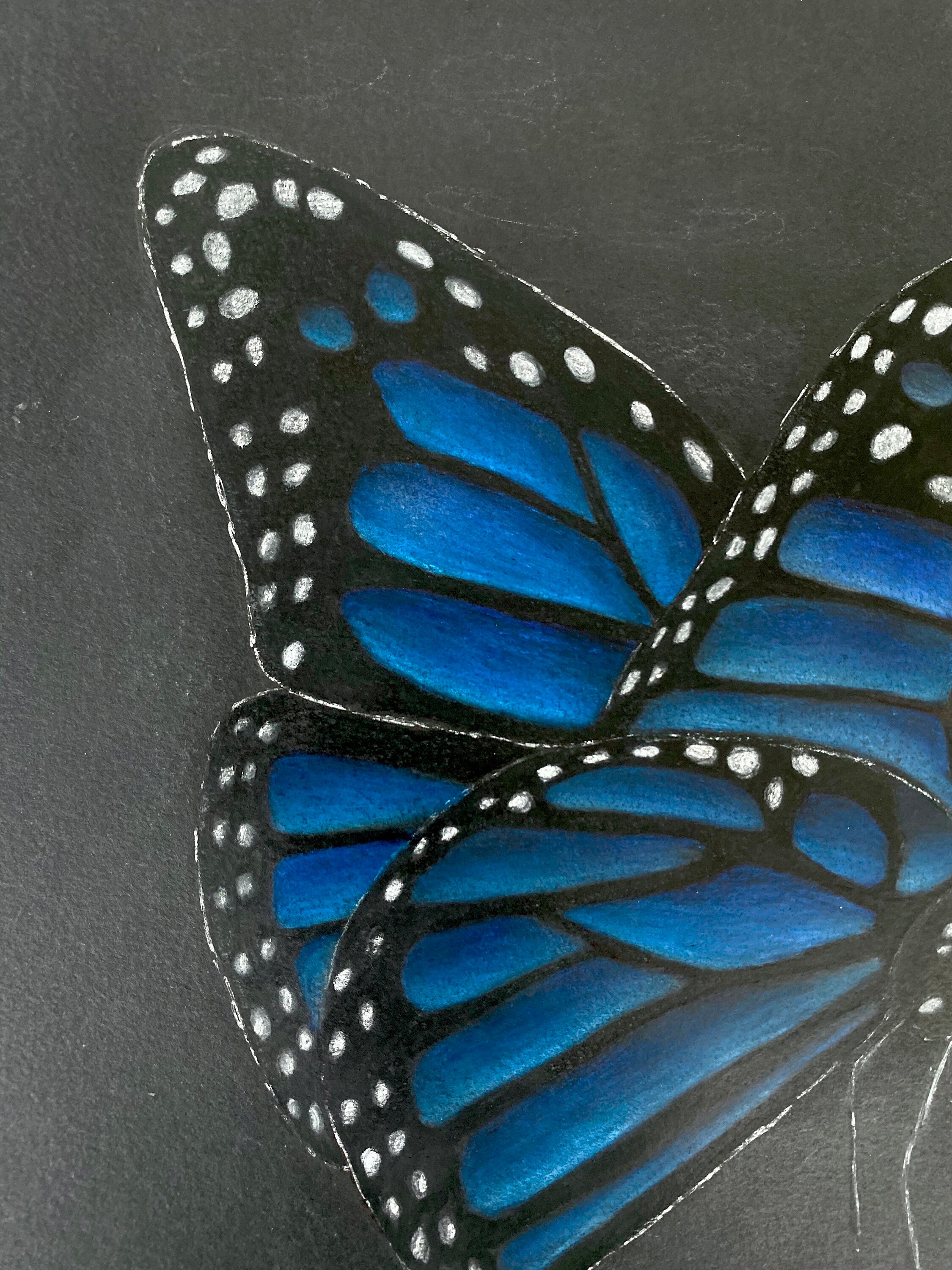Blue Monarch Butterfly Drawing