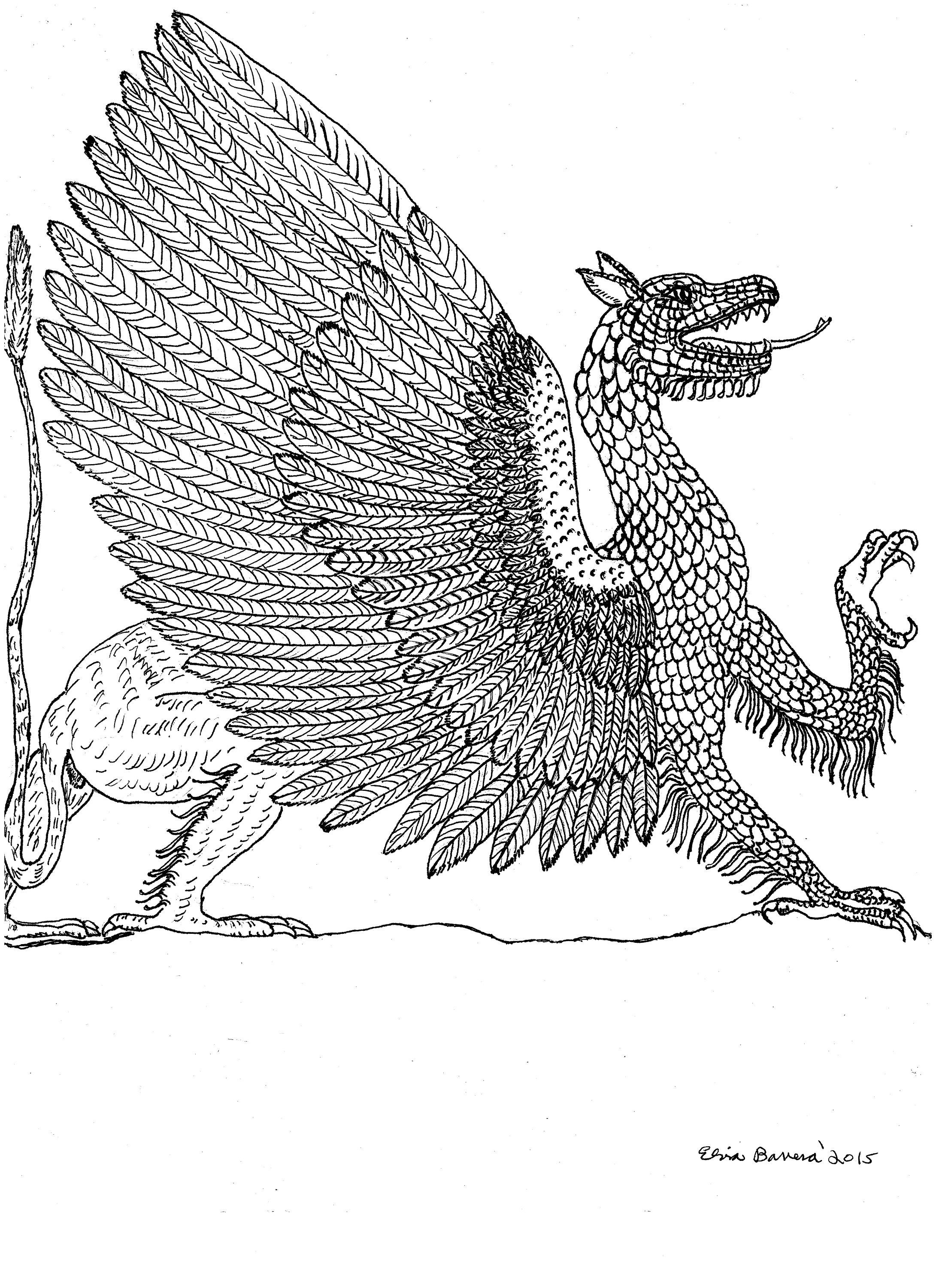 Gryphon Drawing