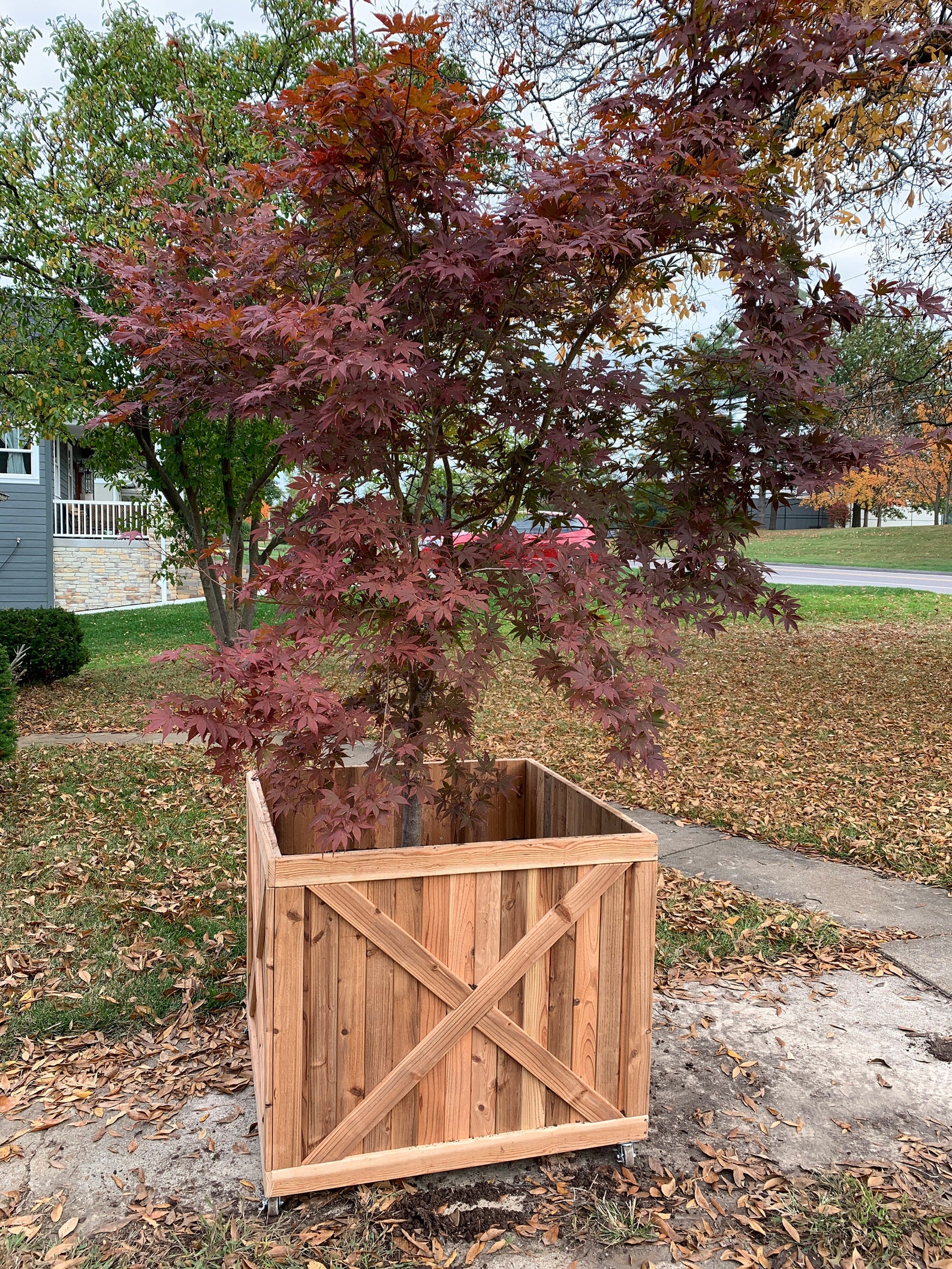 Cedar Planter Box Cedar Planter Planter Box Raised Garden - Etsy