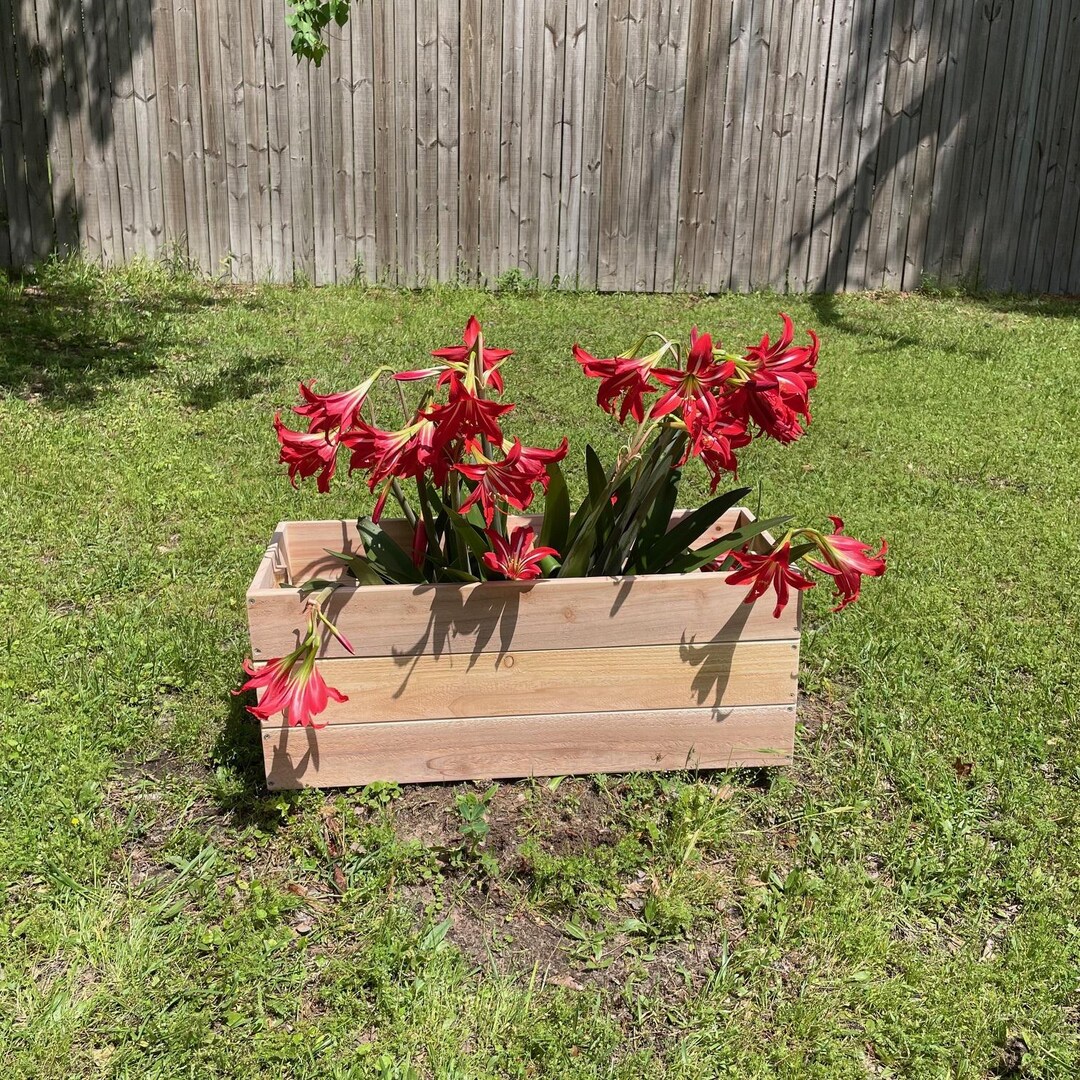 Cedar Planter Box: Raised Garden Bed, Indoor Outdoor Planter - Etsy