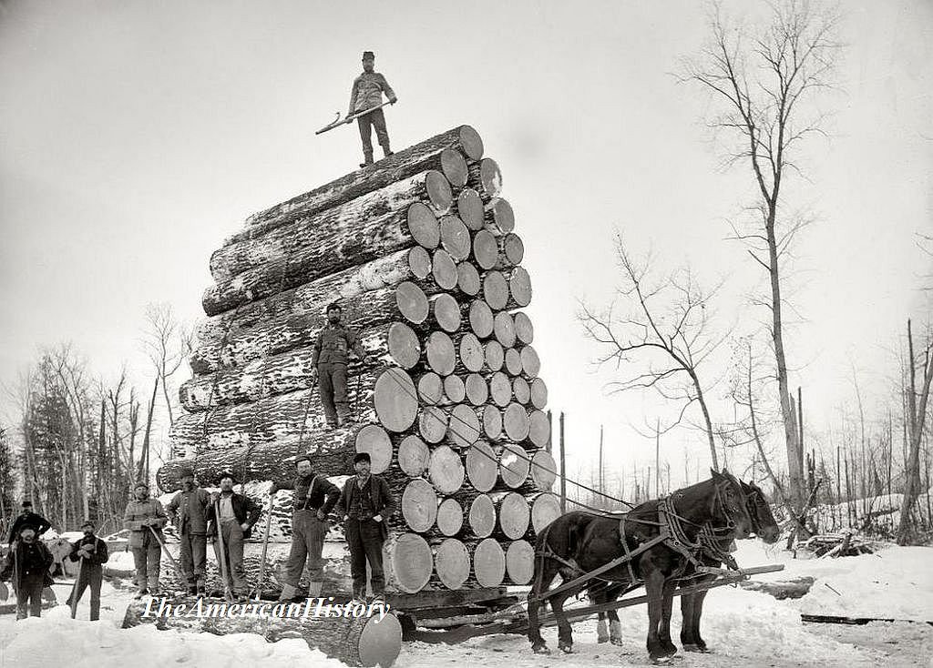 1892 Michigan Logging a big load C 0002 - Etsy