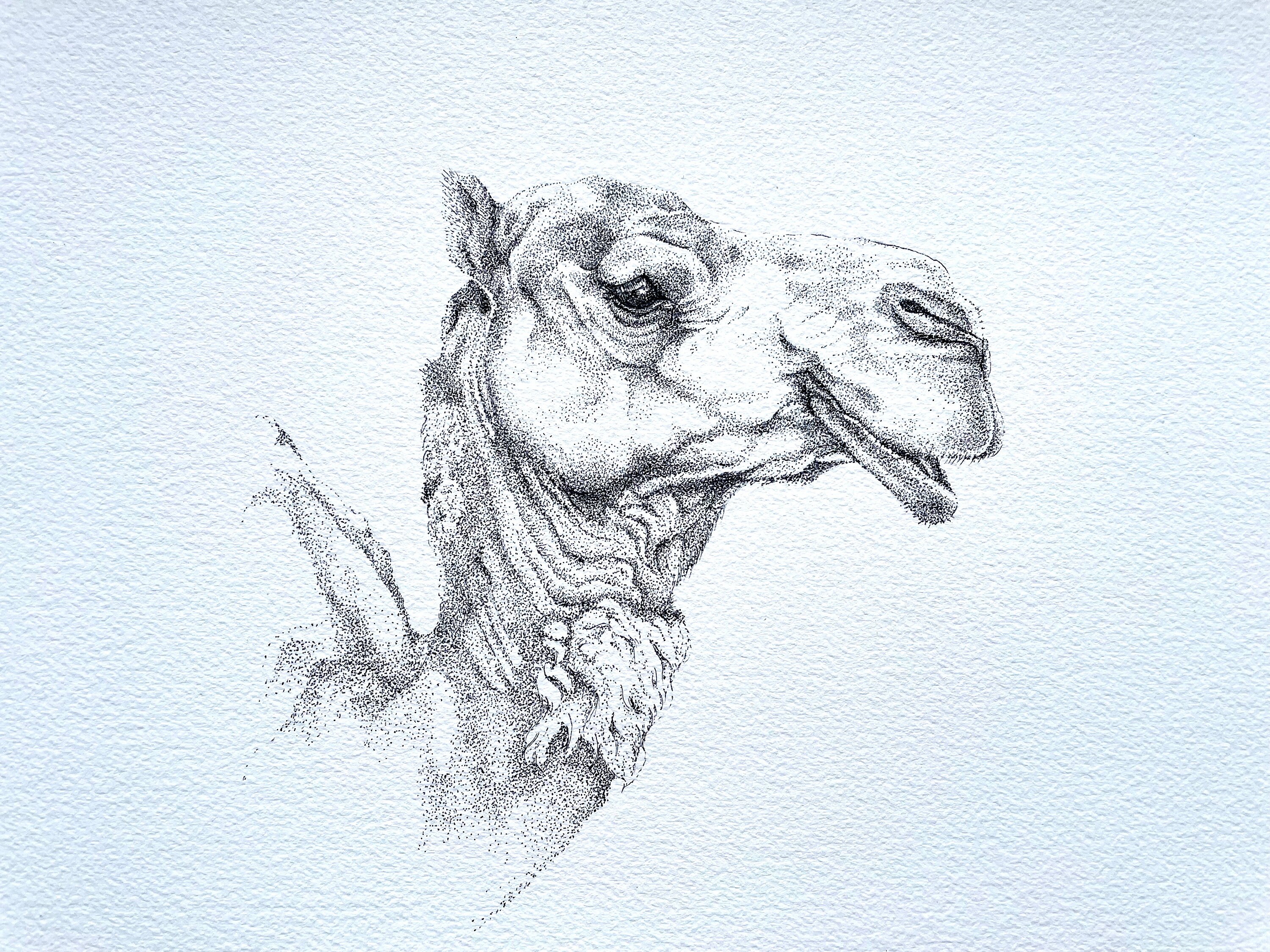 Camel Illustration - Etsy