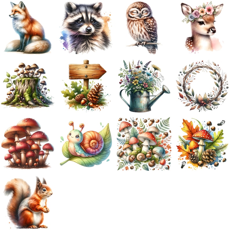 Forest Friends Clipart Bundle Whimsical Woodland Animals and Nature ...