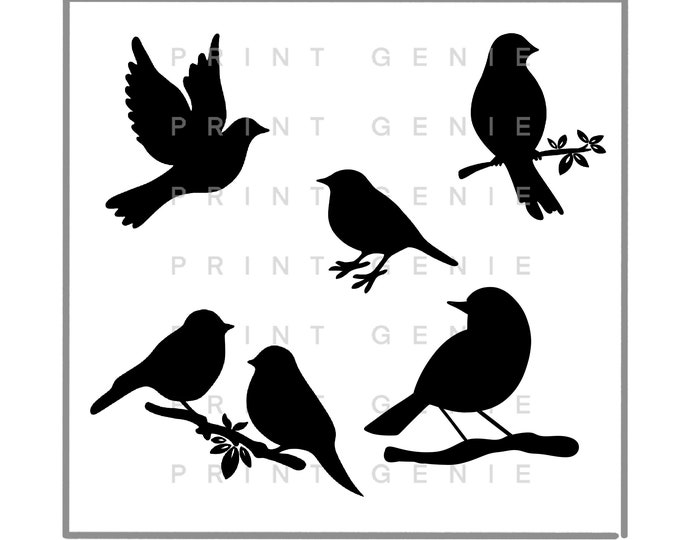 Svg Cut File.12 Birds in Flight Set Silhouettes on White Background.png ...