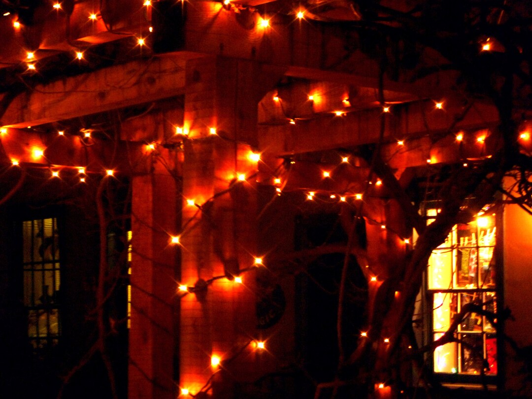 Crimson Frame Photo - Etsy