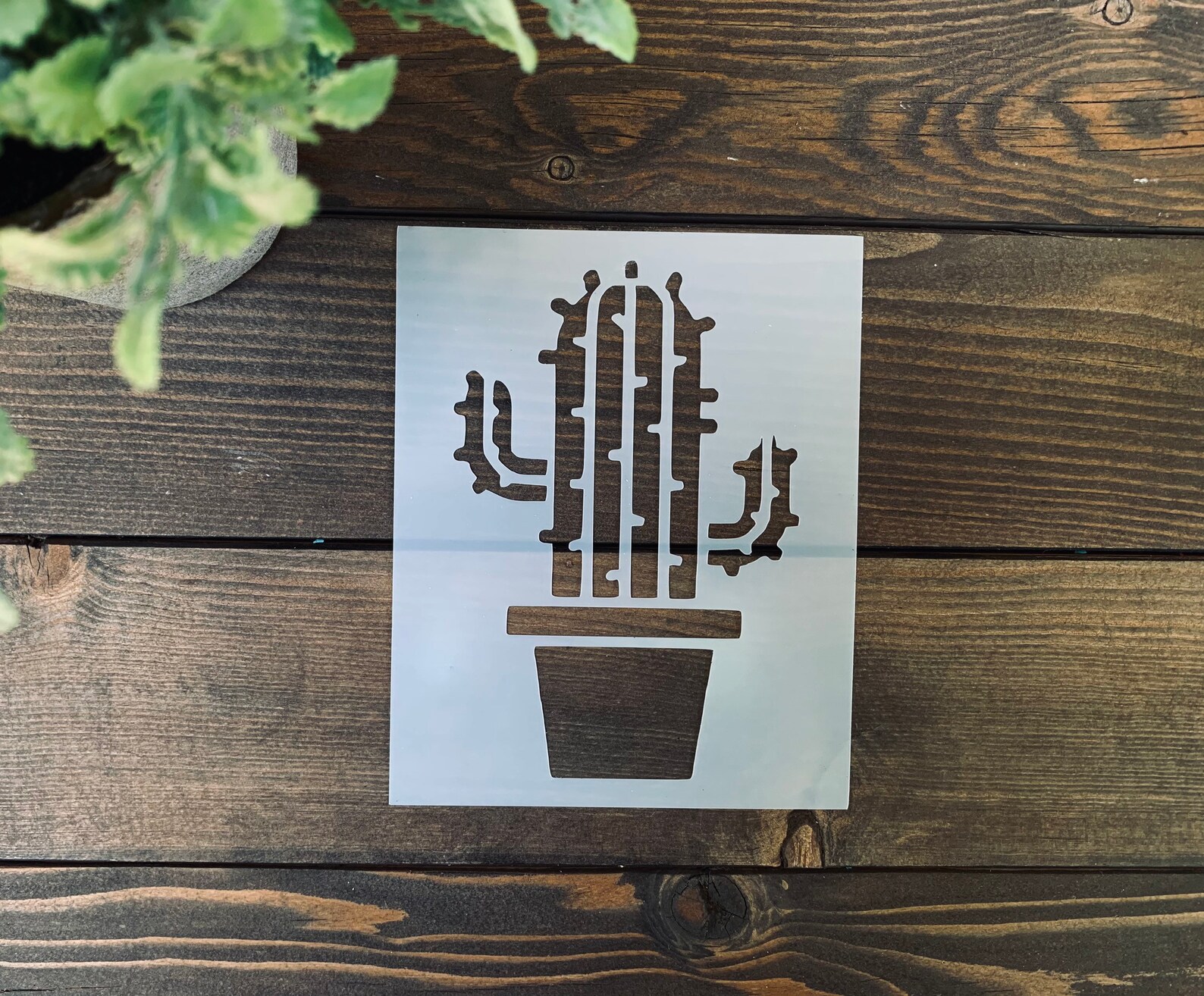 Stencil Cactus Stencil Desert Cactus Stencil Cactus Themed - Etsy UK