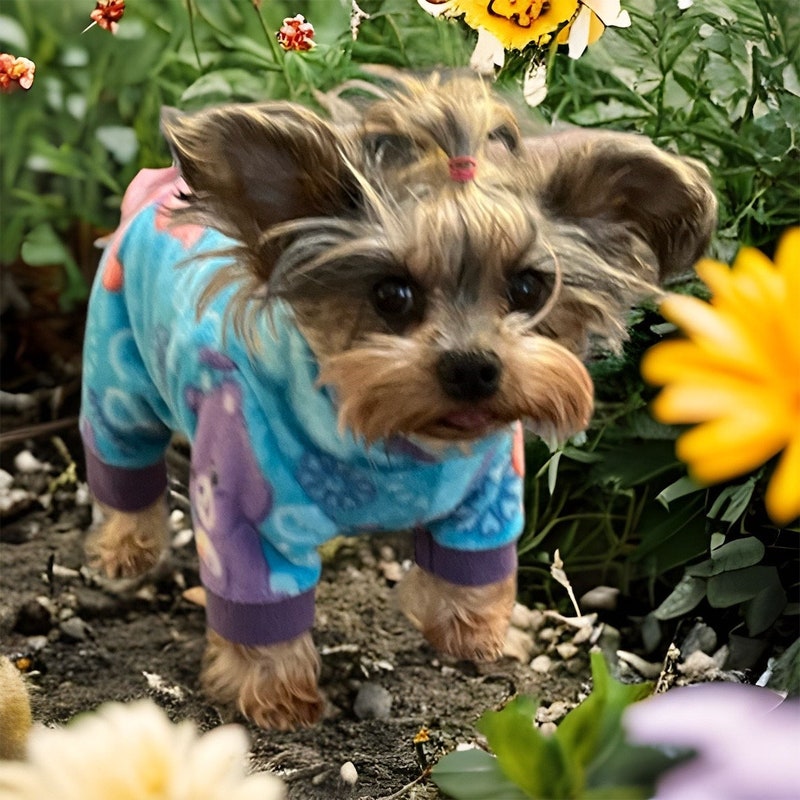 Dog Clothes Small - Etsy