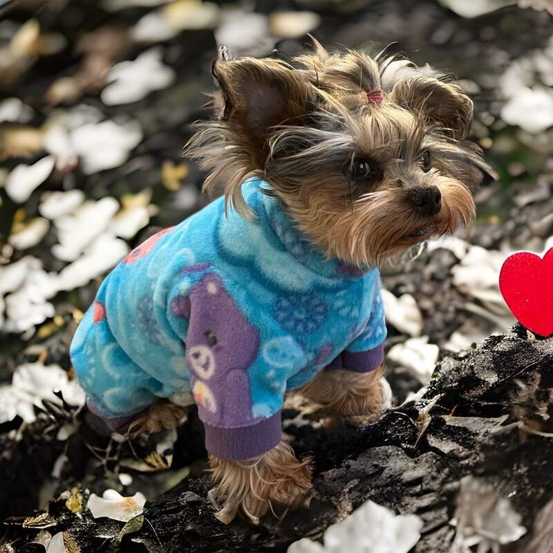 Dog Clothes Small - Etsy