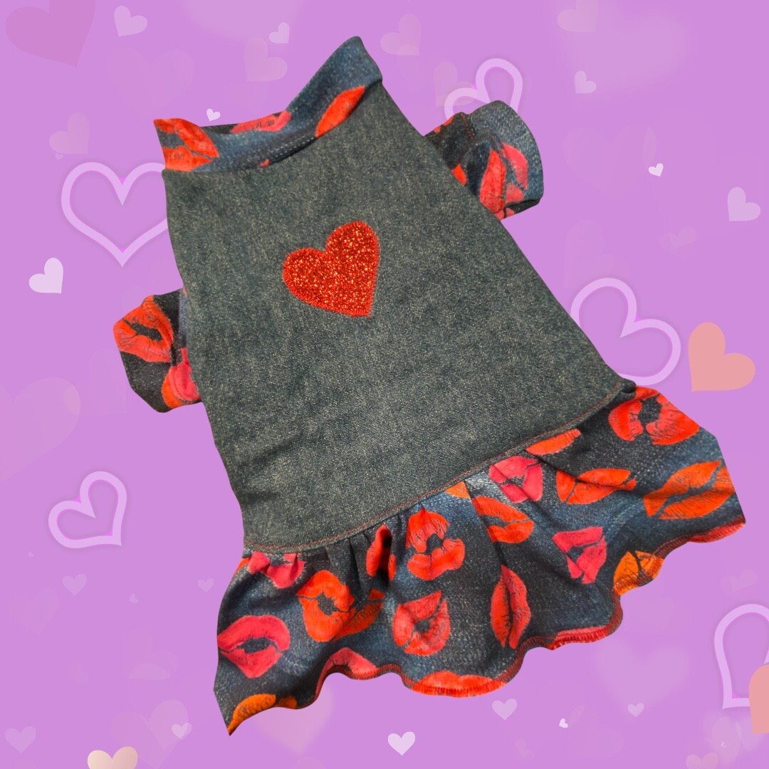 SMOOCHIE Poochie*denim Dress for Small Dogs*pull-on Dress for Yorkies ...