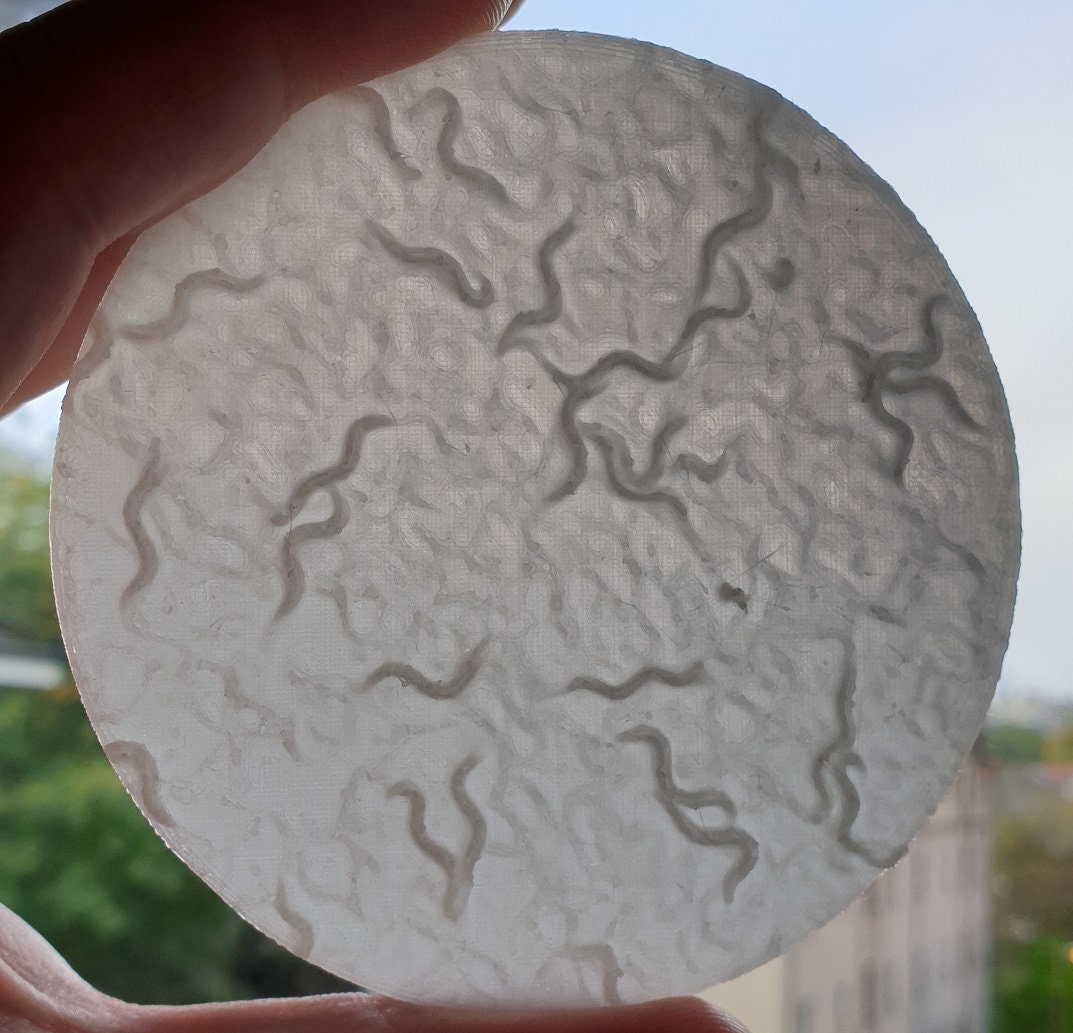 C. Elegans Plate of Worms (3D Print) - Etsy
