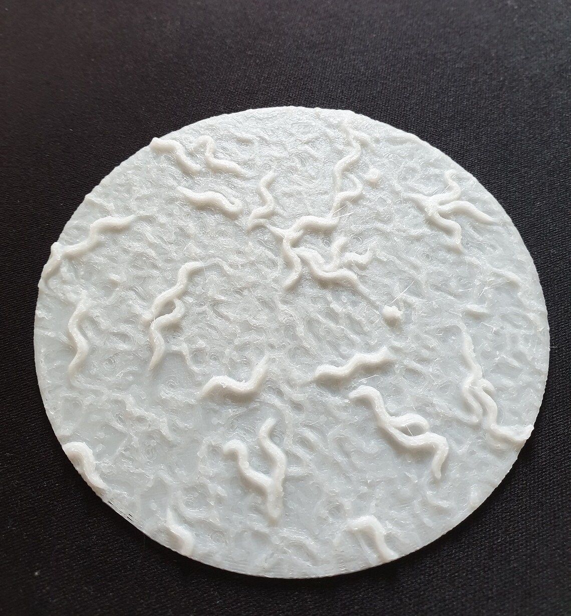 C. Elegans Plate of Worms (3D Print) - Etsy
