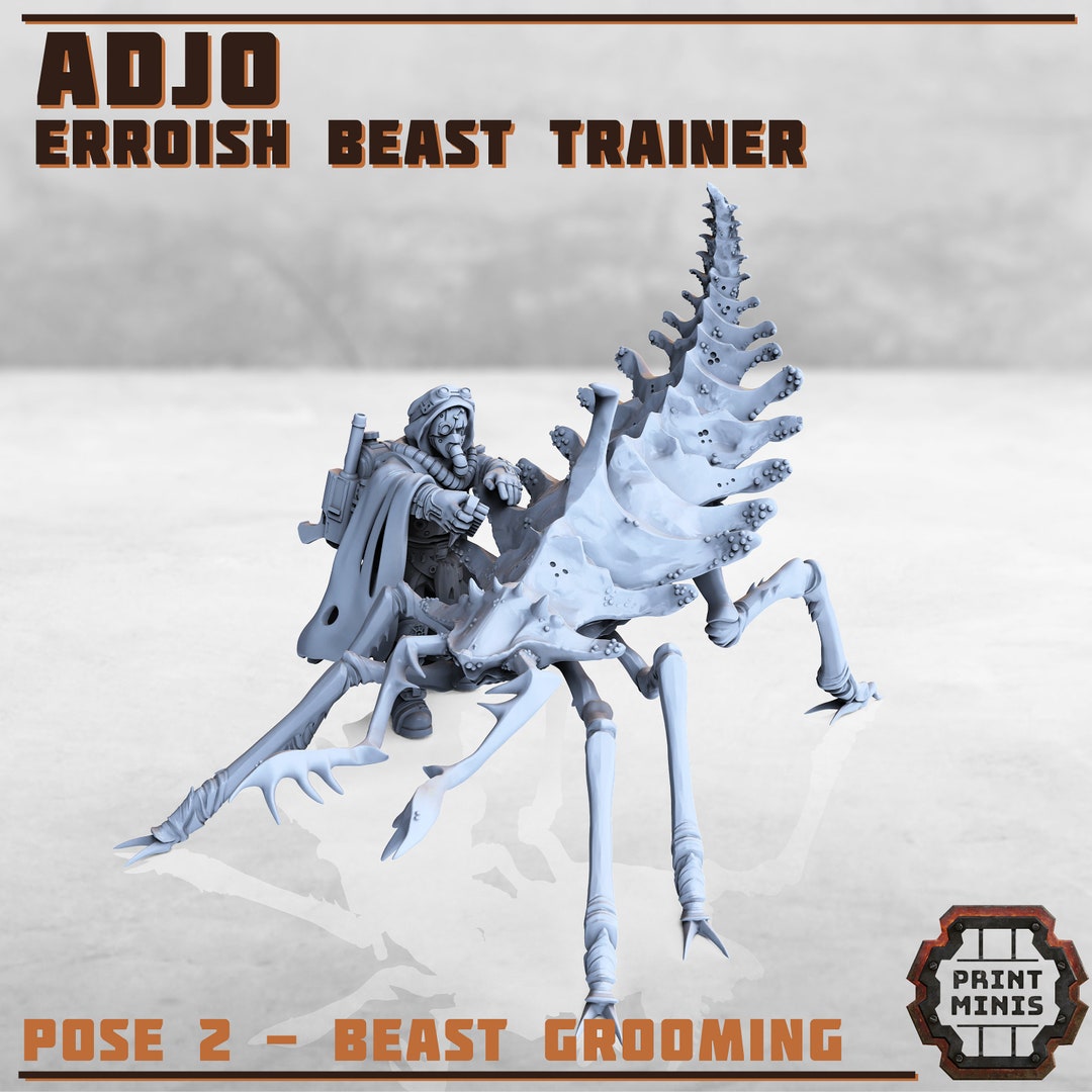 Erroish Beast Trainer Aojo With Sand Sprinters Wasteland Tribe Print ...