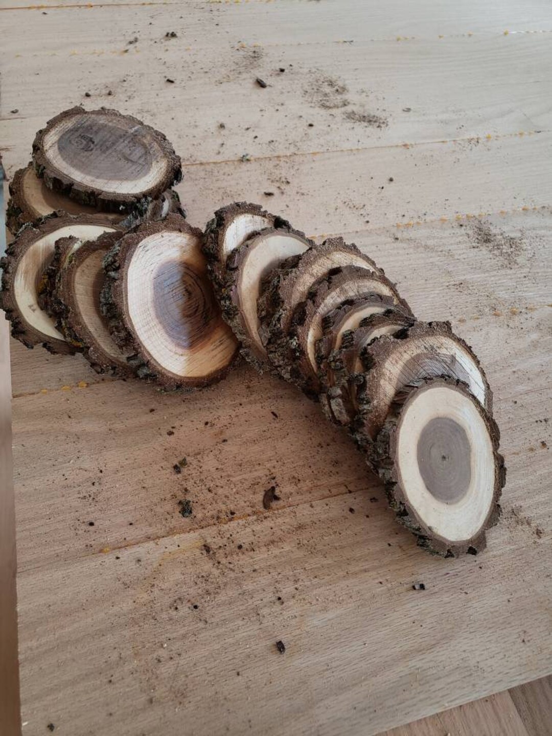 Black Walnut Wood Slices. Price is per Slice. - Etsy