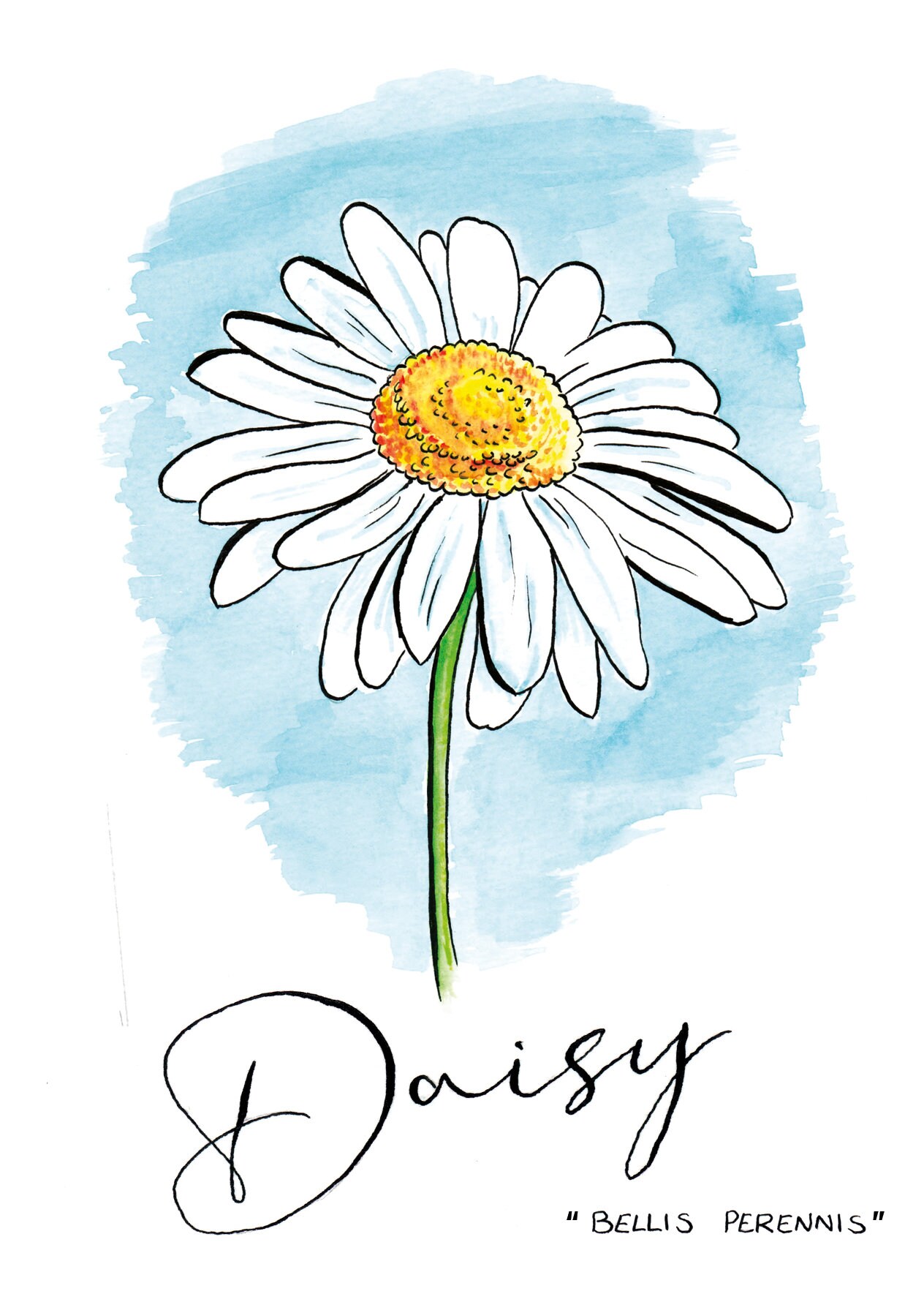 Daisy Flowers Birthday Card Daisy Flower Card Flowers Card Hand Painted ...