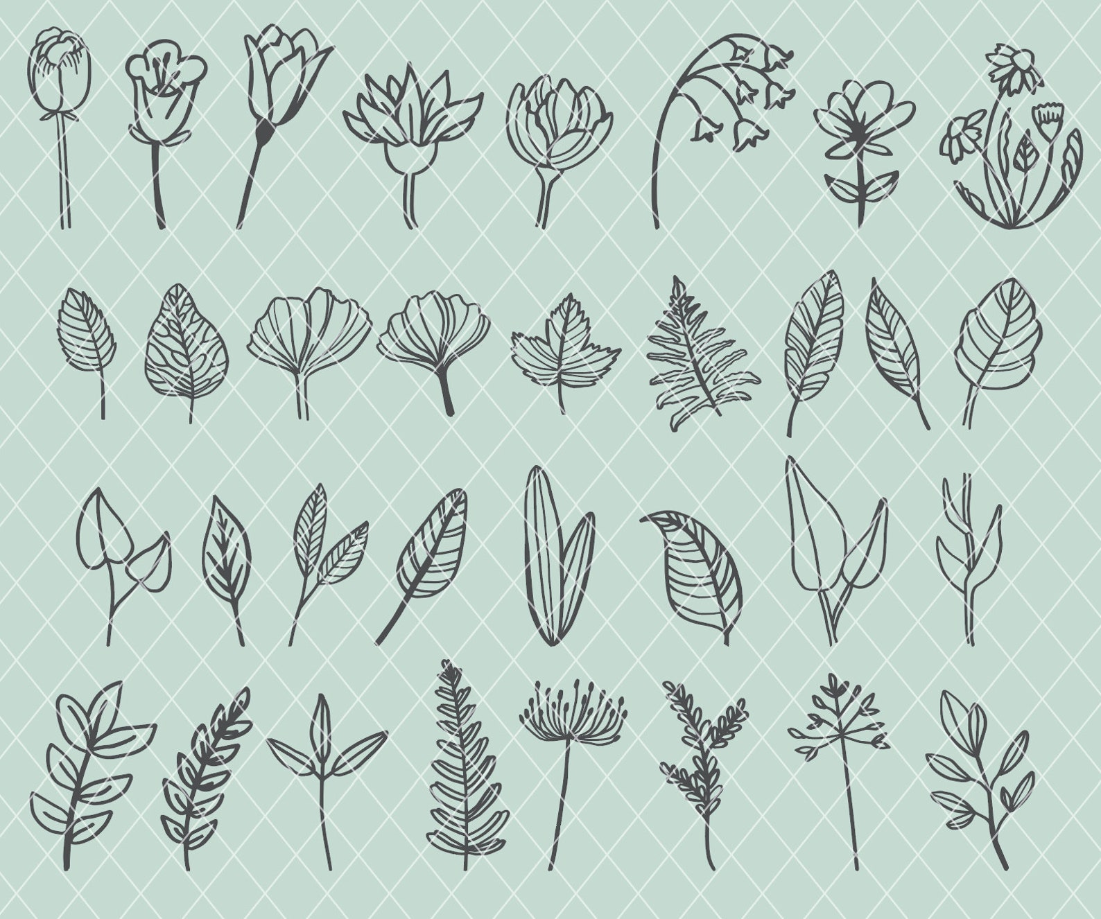 Flower SVG Floral Instant Download Botanical Leaf Branch Stem Mega ...