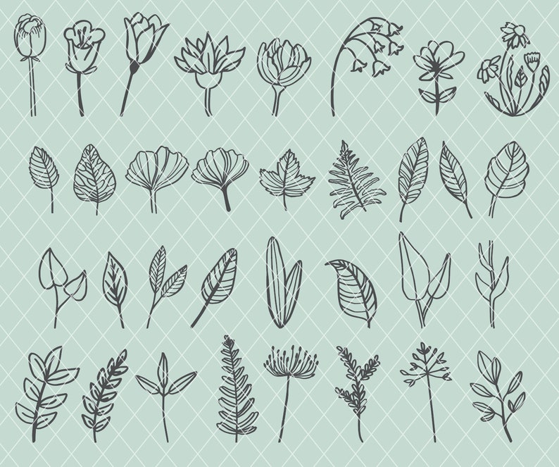 Flower SVG Floral Instant Download Botanical Leaf Branch Stem - Etsy