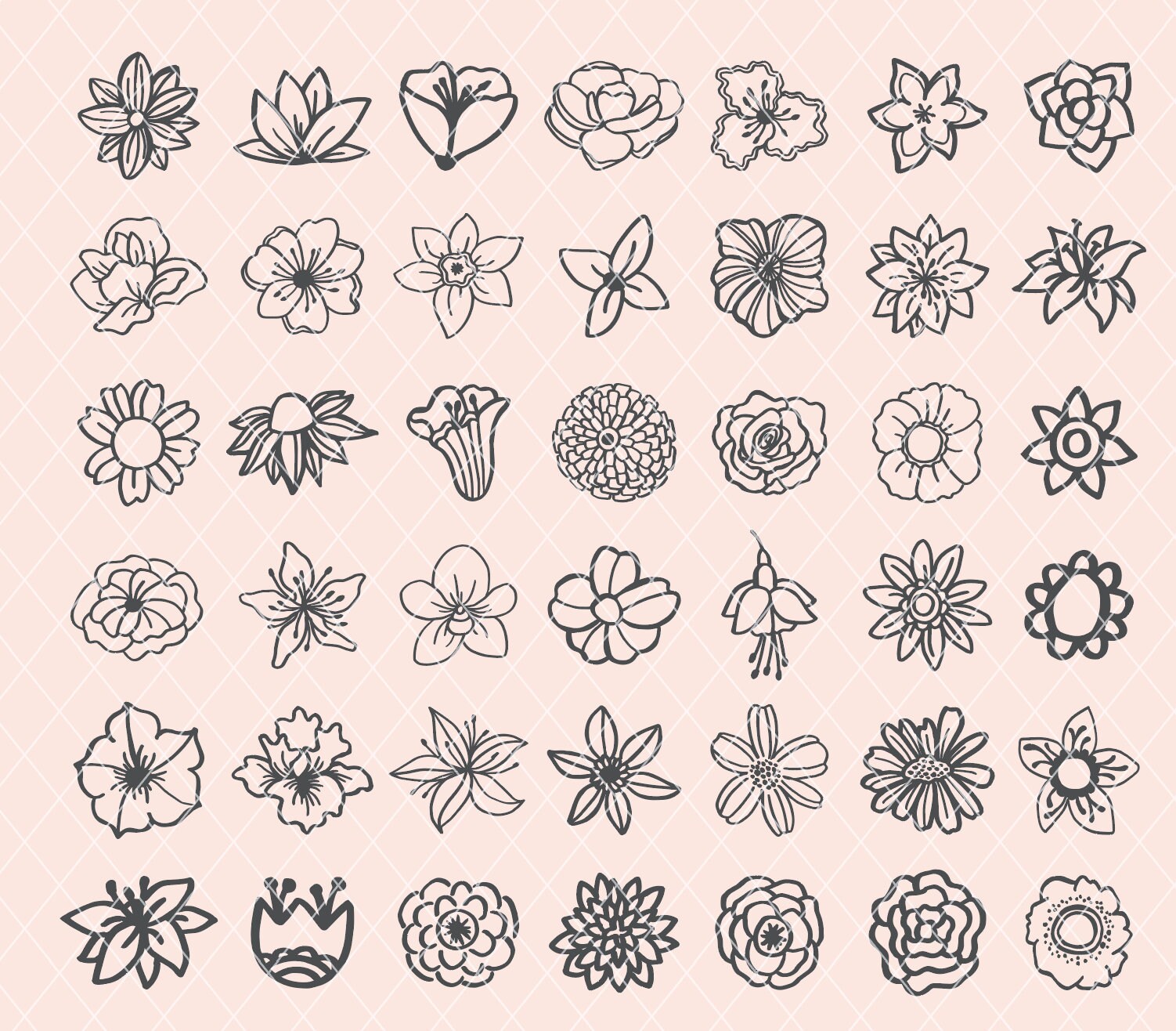 Flower SVG Floral Instant Download Botanical Leaf Branch Stem Mega ...