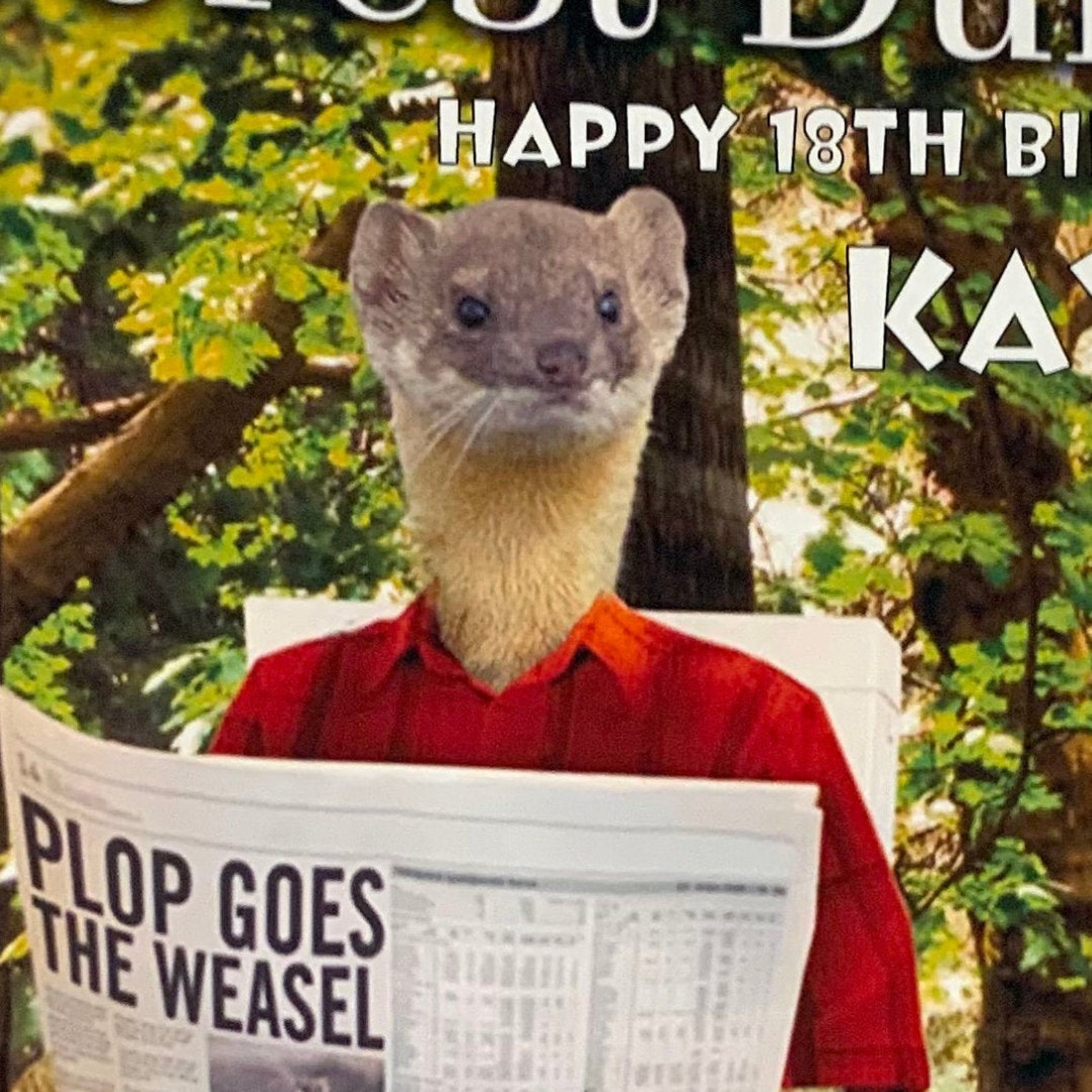 Funny Personalised Weasel Birthday Cards/personalised Funny | Etsy UK