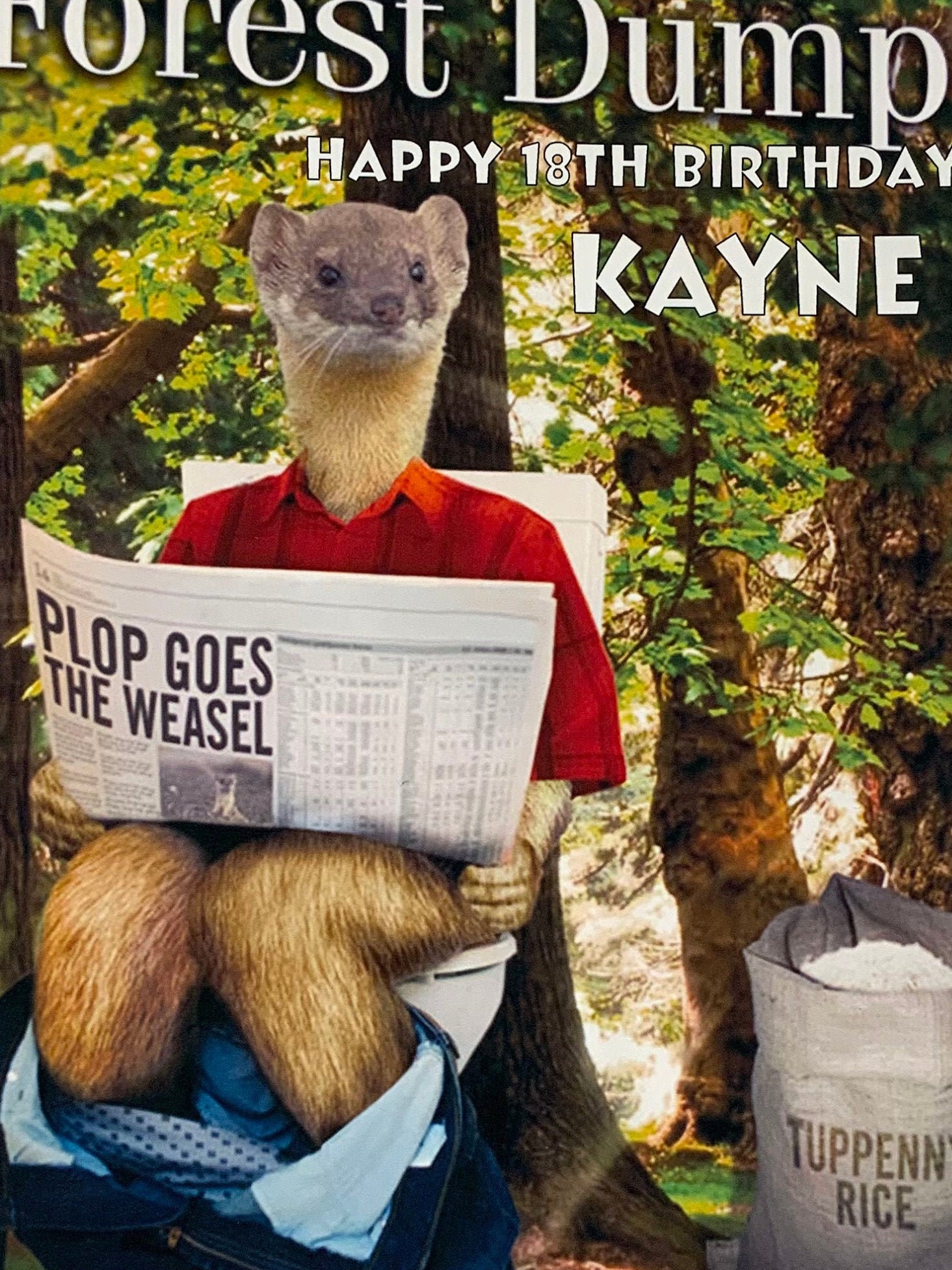 Funny Personalised Weasel Birthday Cards/personalised Funny | Etsy UK