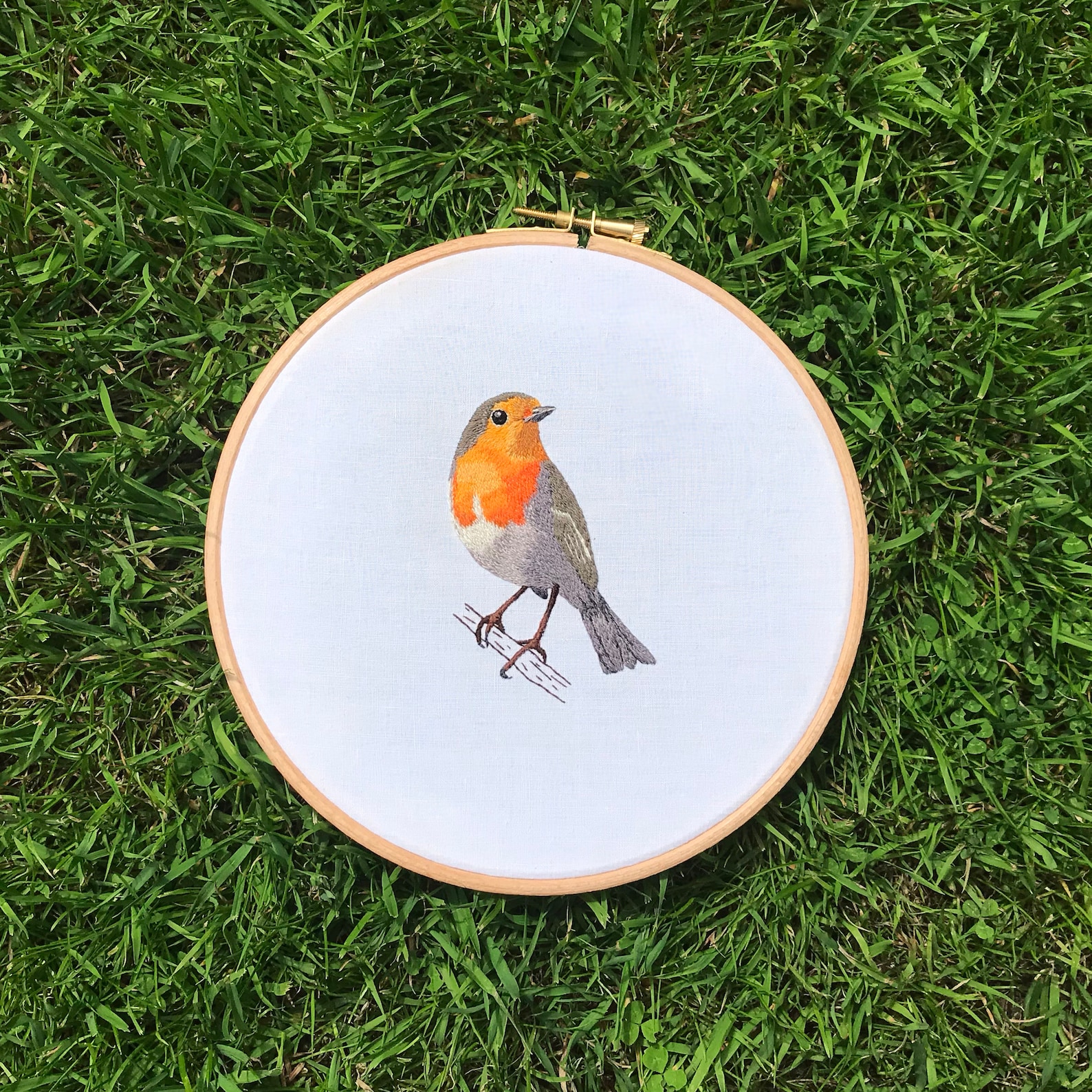 Complete Robin Embroidery Kit Bird Embroidery Kit - Etsy