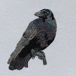 Raven Embroidery Kit: Mercerized Cotton on Linen, 6" Hoop - Etsy