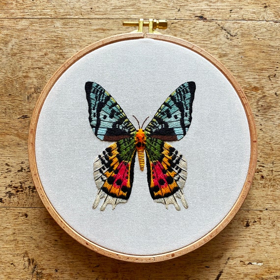 Madagascan Moth Embroidery Kit Butterfly Needle Craft DIY | Etsy