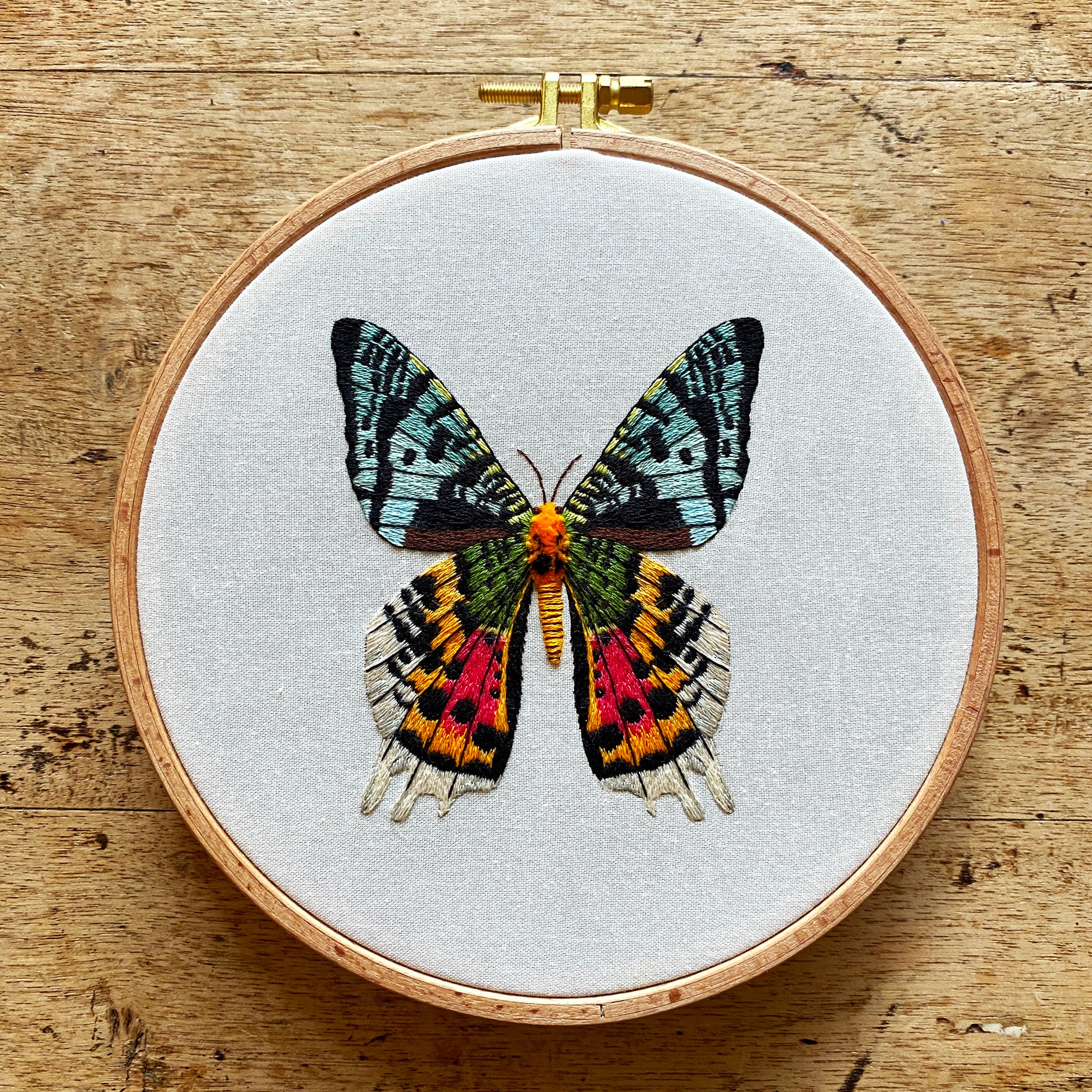 Madagascan Moth Embroidery Kit Butterfly Needle Craft DIY | Etsy