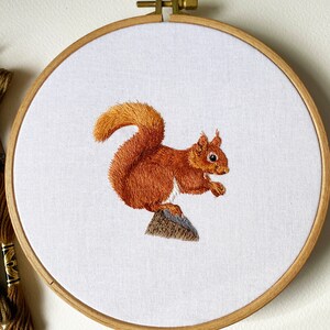 Squirrel Embroidery Kit | Complete Wildlife Embroidery Kit | English ...
