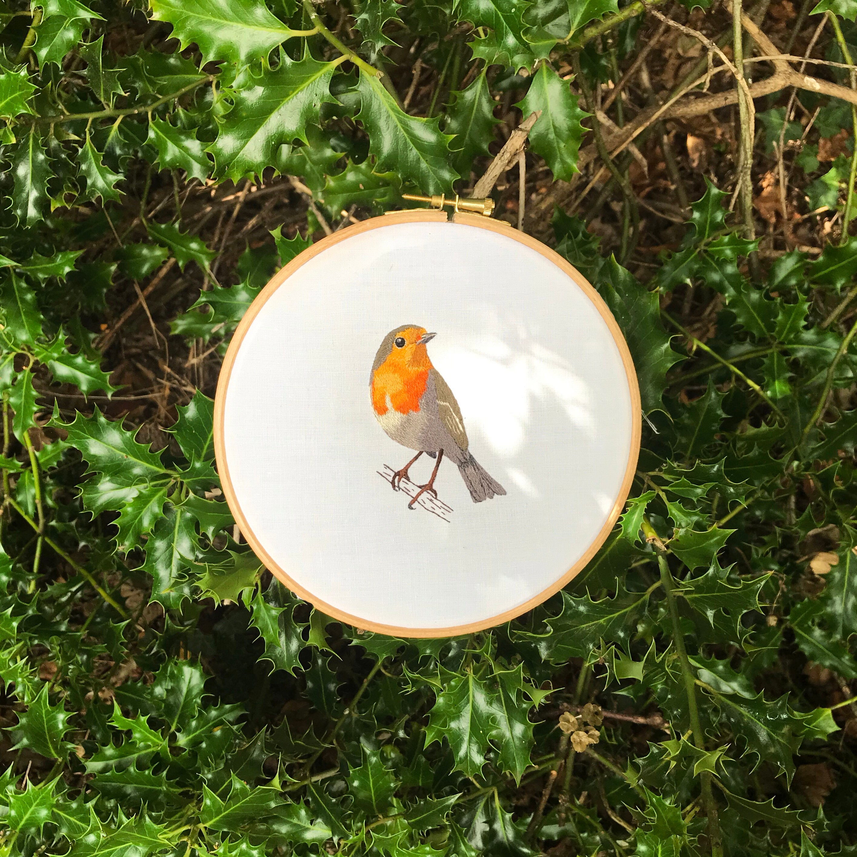 Robin Embroidery Pattern Download Bird Embroidery Pattern - Etsy