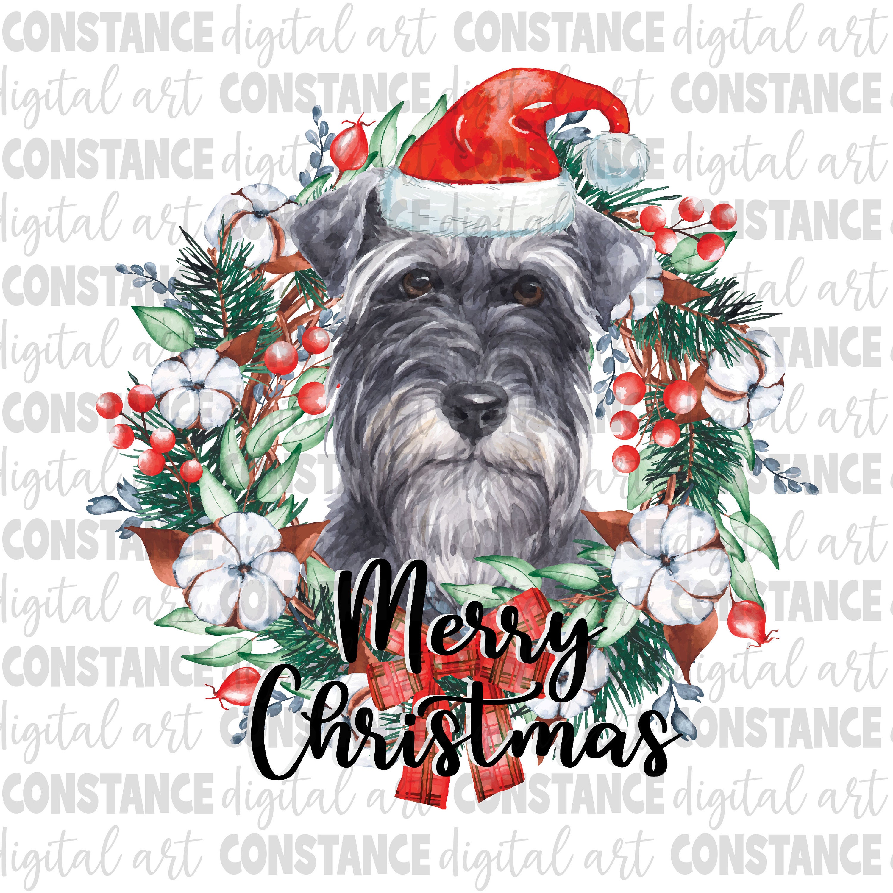 Merry Christmas With Mini Schnauzer