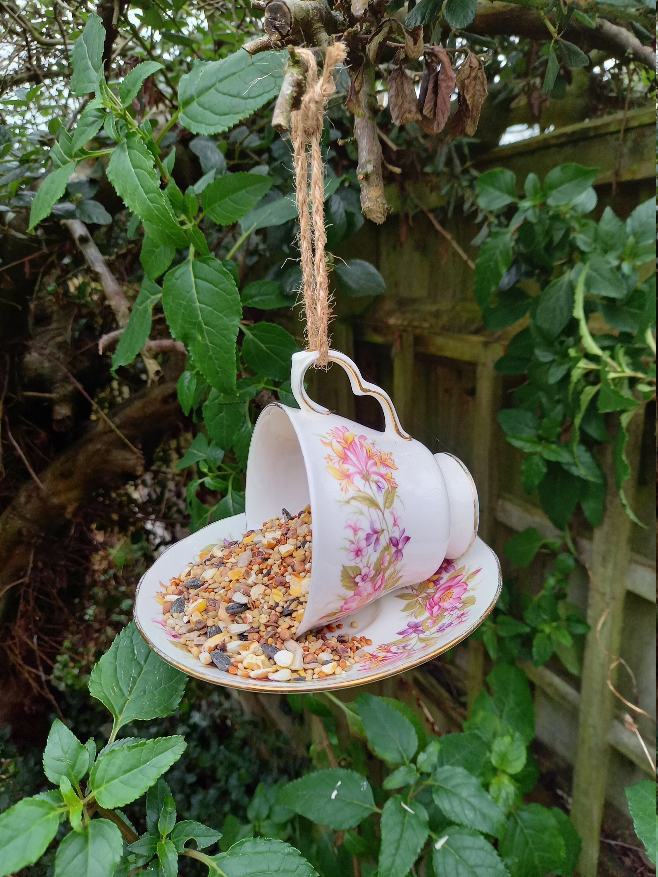 Feeders & Birdhouses Home & Living Outdoor & Gardening Bird Feeder One ...