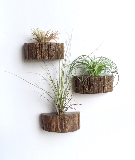 Sculpture Art Objects Handmade plant magnets etna.com.pe