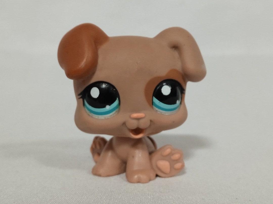 Littlest Petshop Hasbro "pet Pairs" Figure #1482 Puppy Collectible ...