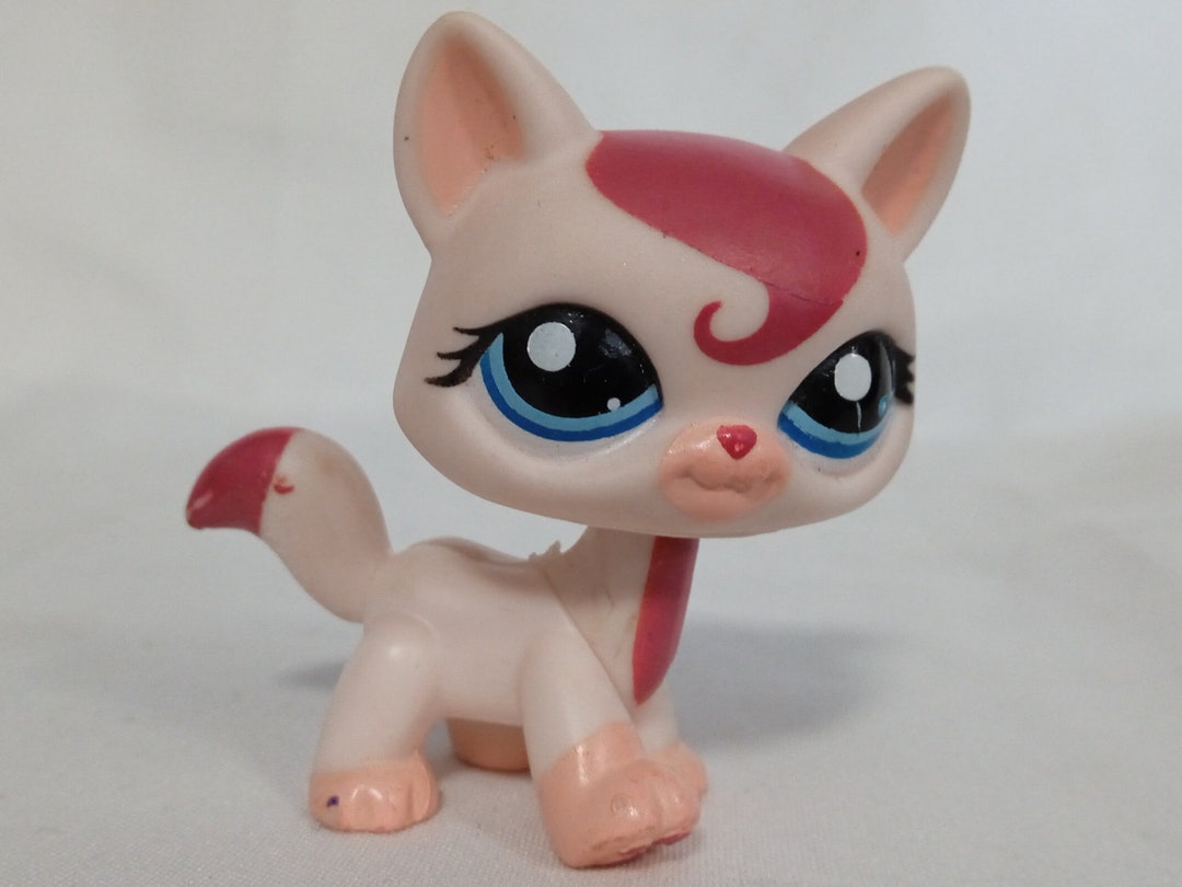 Littlest Petshop Hasbro Figure #1679 Cat From Halloween Tube ...