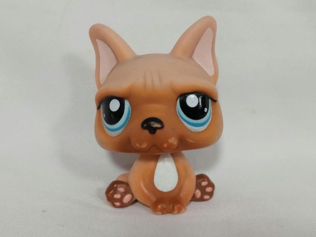 Littlest Petshop Hasbro Figure #1847 French Bulldog Collectible Retro ...
