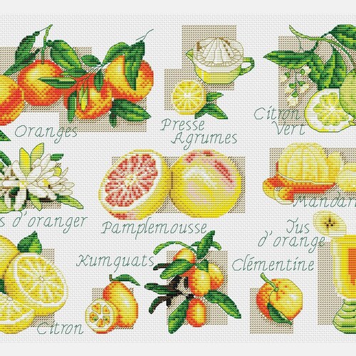 Kitchen Sampleer Cross Stitch Pattern Colorful Art DIY - Etsy