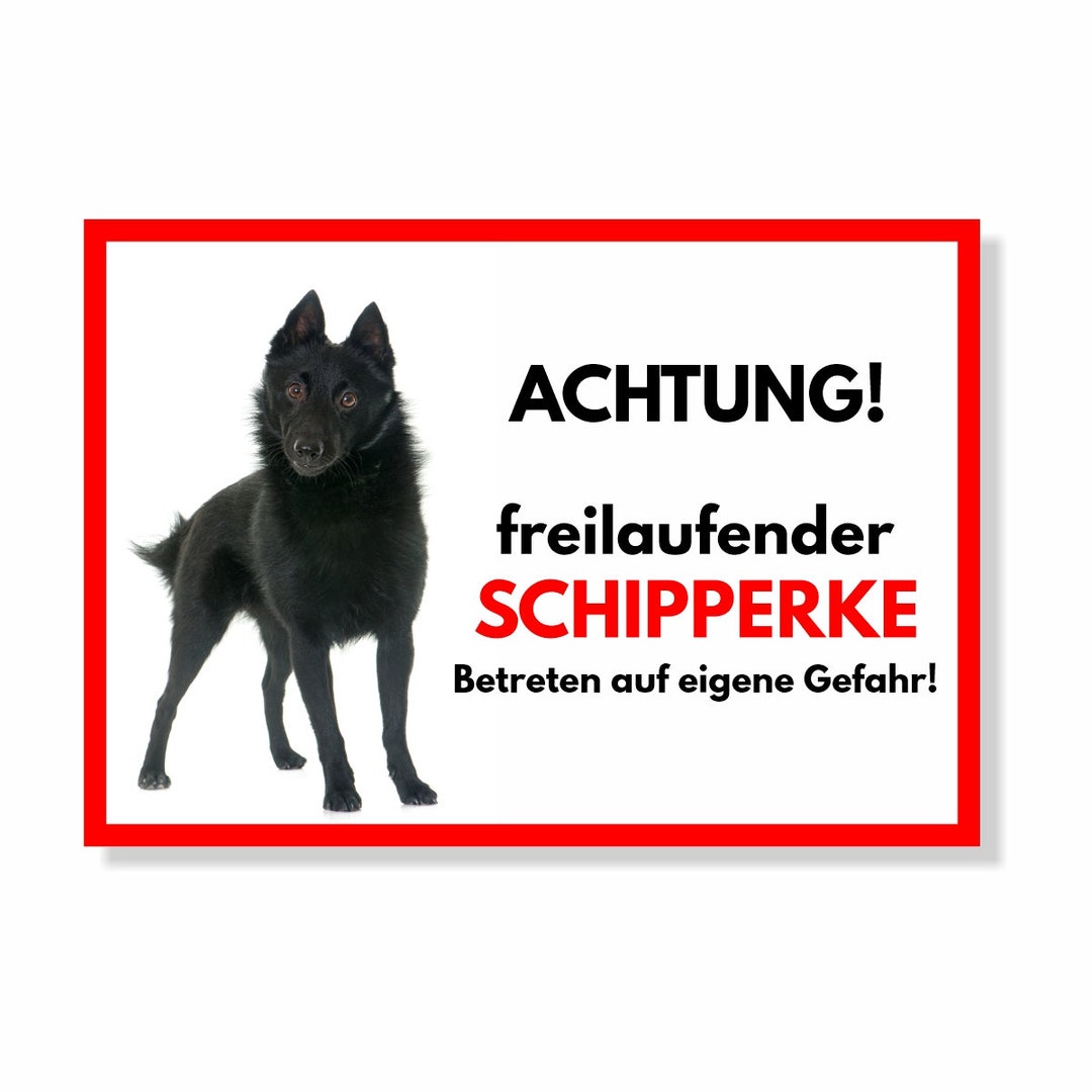 Schipperke Freilaufender Hund Dog Schild Spruch Türschild Hundeschild ...