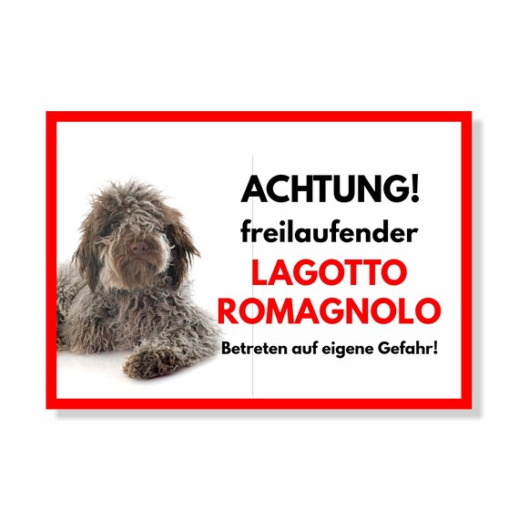 Are Lagotto Romagnolo Noisy