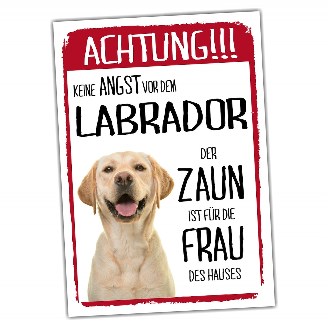 Labrador Dog Schild Achtung Zaun Frau Spruch Türschild Hundeschild ...
