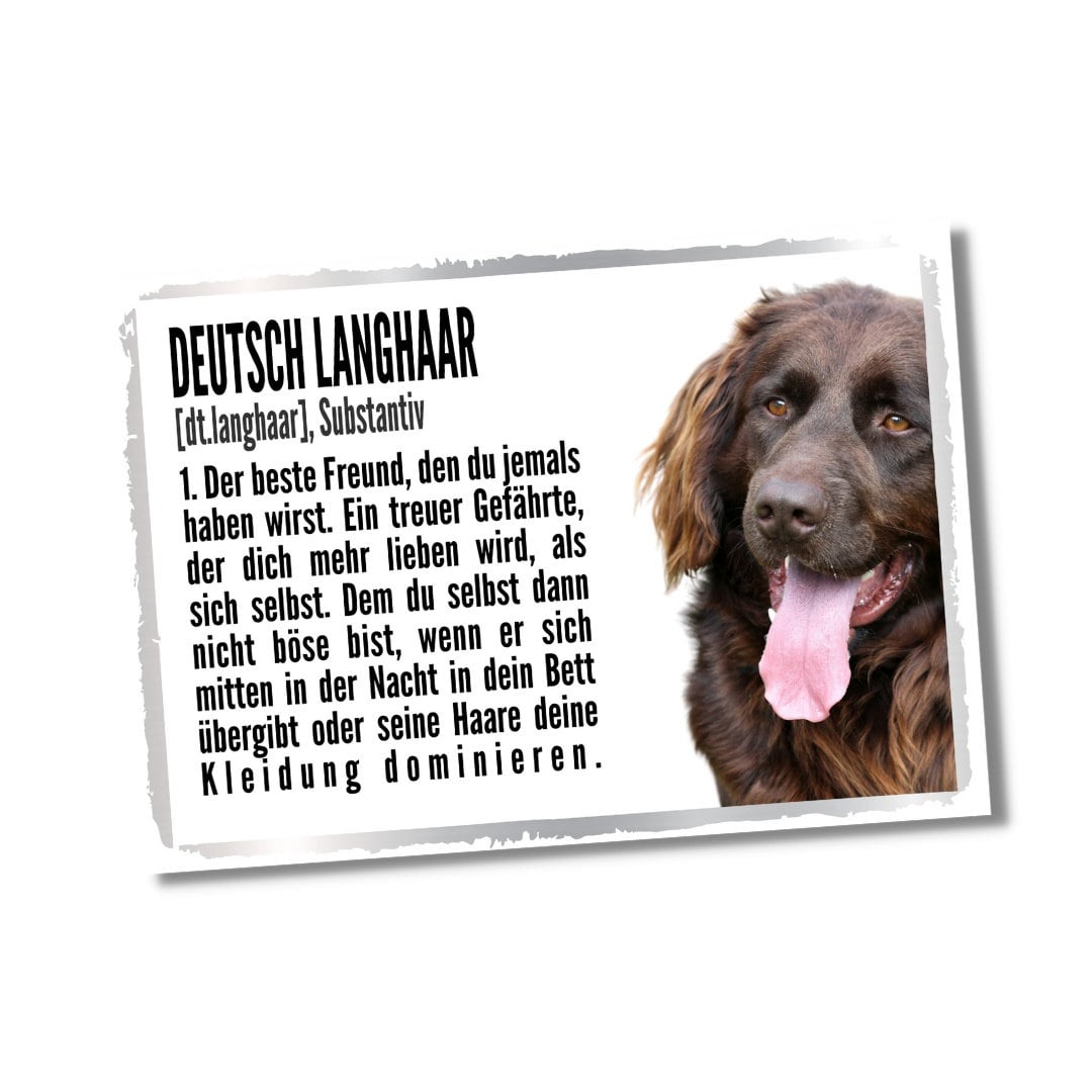 Deutsch Langhaar Duden Hund Dog Schild Spruch Türschild Hundeschild ...