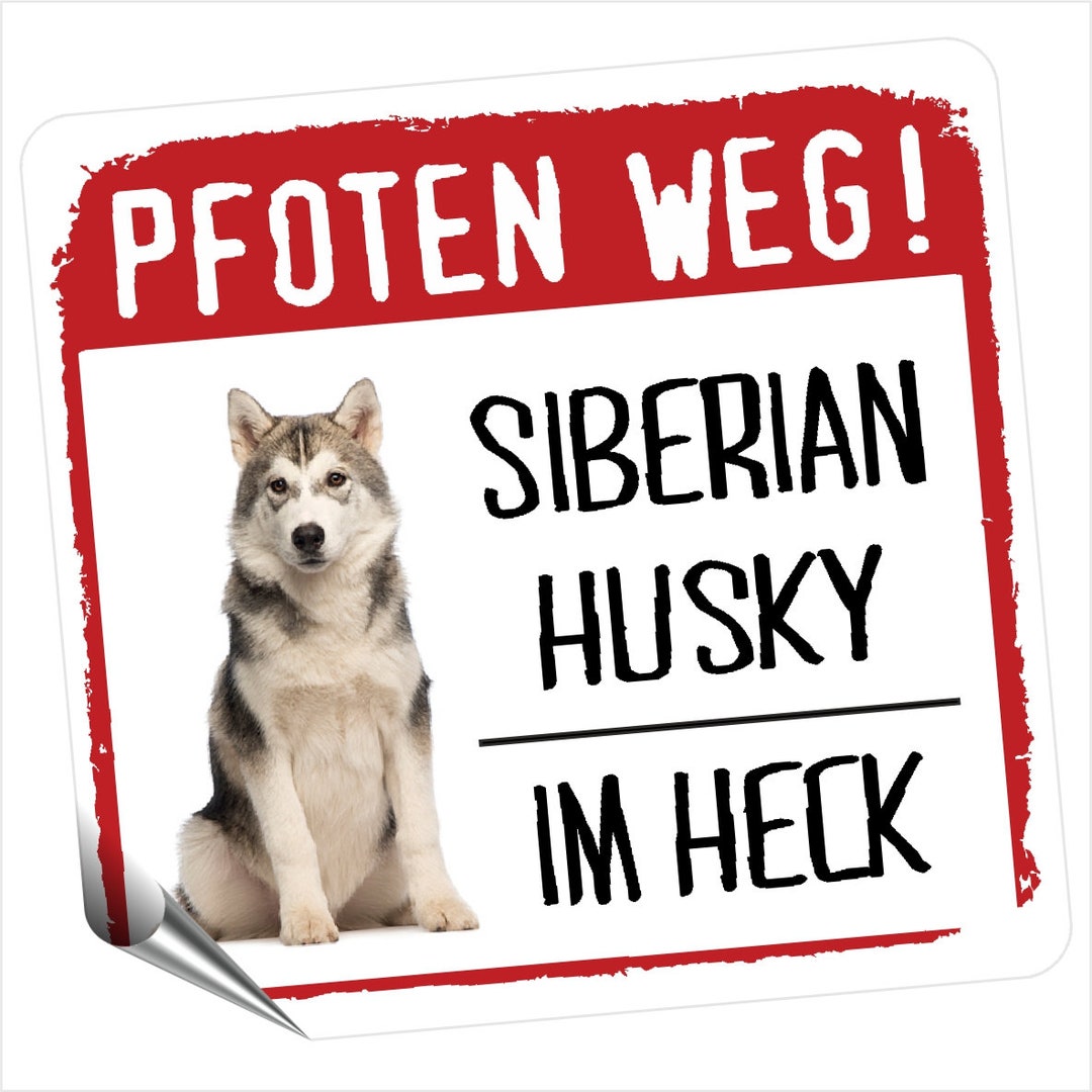 Husky No.1 Siberian Icee Sibe Aufkleber PFOTEN WEG Hundeaufkleber Folie ...