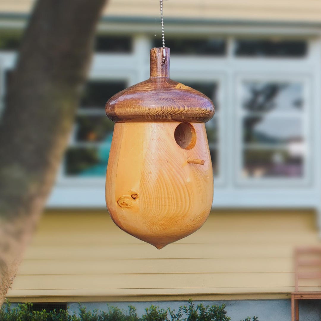 Acorn Blue Bird House, Wooden Birdhouse/ Bird House/ Gift for Bird ...
