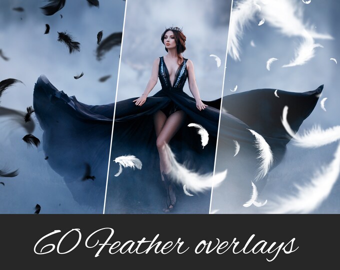 60 PNG Mix Flying Feather Photo Overlays: White, Black, Gray, Colors ...