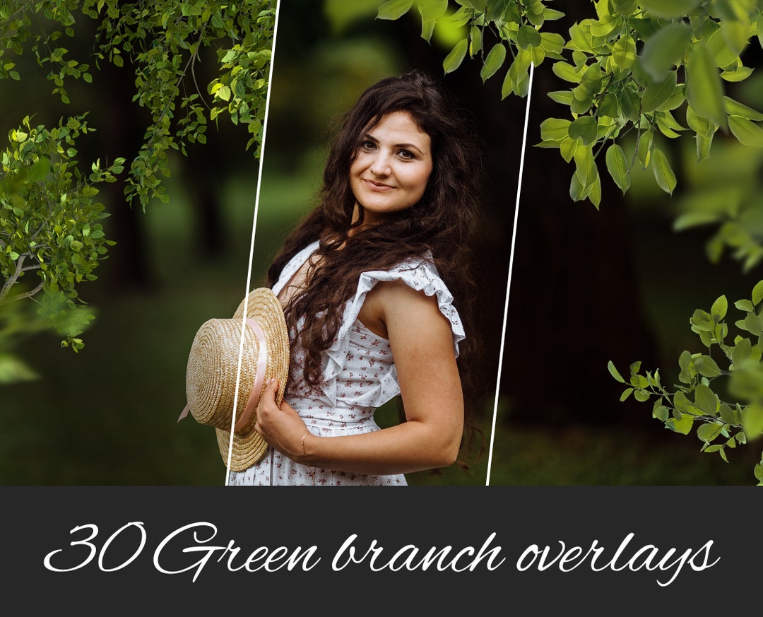 30 PNG Green Branches Photo Overlays: Summer and Spring - Etsy