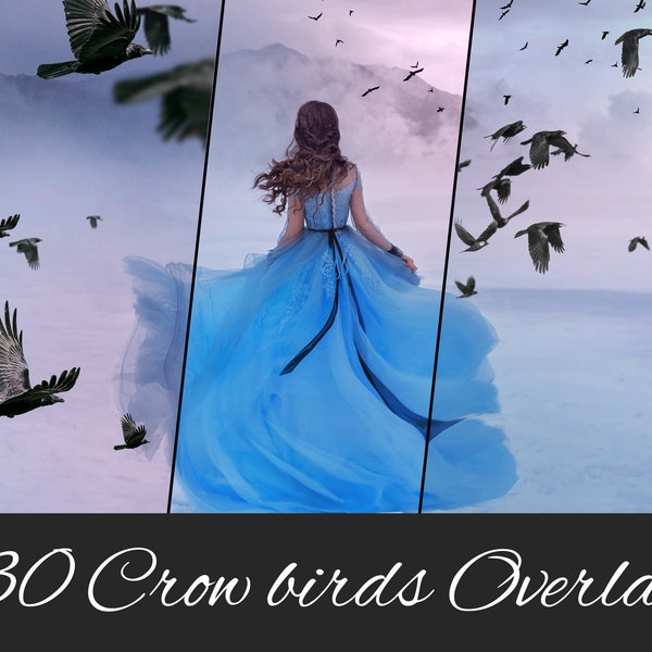 Flock of Crows - Etsy