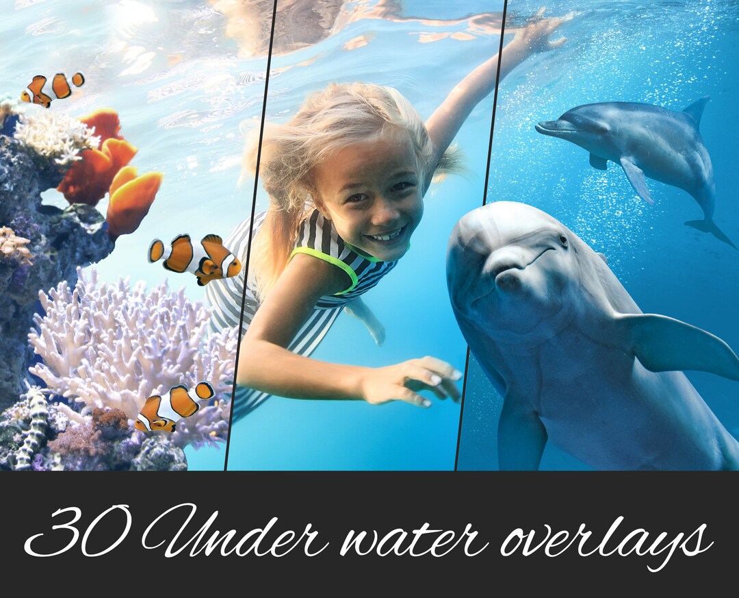 30 PNG Underwater Overlays: Water Splash, Bubbles, Dolphins, Fish ...