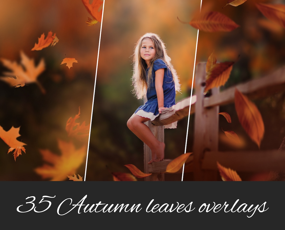 35 Autumn Leaves Overlays Photo Overlays Fall Autumn - Etsy