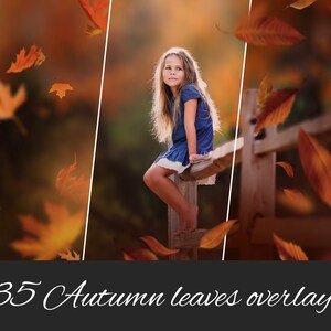 35 Autumn Leaves Overlays Photo Overlays Fall Autumn - Etsy