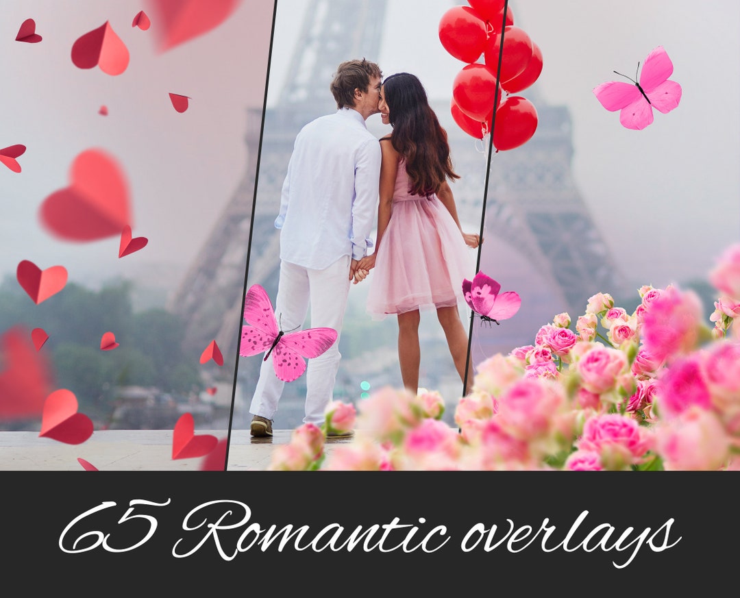 65 Romantic Collection Mix Overlays Petals Rose Flower - Etsy