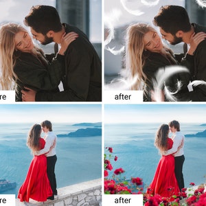 65 Romantic Collection Mix Overlays Petals Rose Flower - Etsy